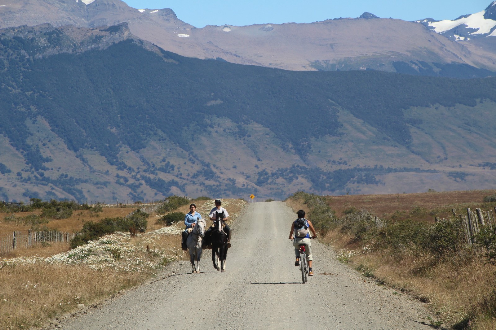 Zonnen in Chileens Patagonië - Wereldreis - Machweg