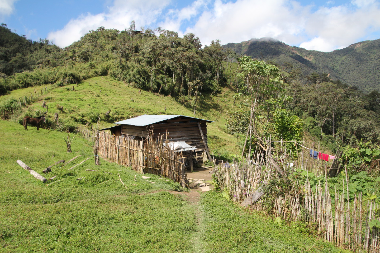 In de sporen van de Inca's in Peru - Wereldreis - Machweg